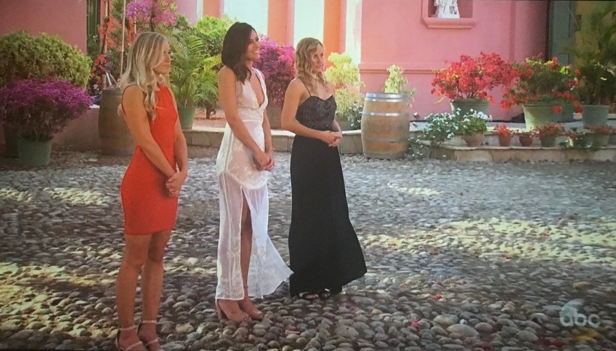 The Bachelor recap: “If Arie Proposed To Me Today I’d Say No” – who is ...